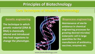 Pi7_Tool_11-12 Biotechnology principles n processes ppt part 1.pdf