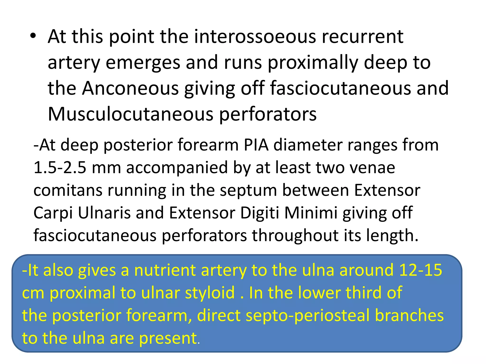 Posterior interosseous artery flap | PPTX