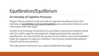 Piaget (1).pptx theory of human behavior | PPT