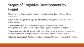 Piaget (1).pptx theory of human behavior | PPT