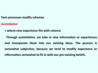 Piaget Schema Formation