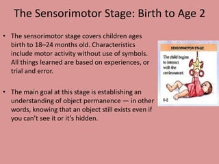 Piaget's Cognitive Development Theory | PPTX