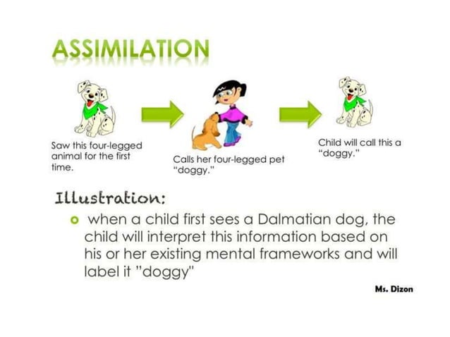 Piaget Illustration of cognitive development | PPT