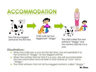 Piaget Illustration of cognitive development | PPT