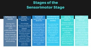 PIAGET COGITIVE DEVELOPMENT THEORY IN EDUCATION | PPT