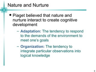 Piaget's cognitive development | PPT
