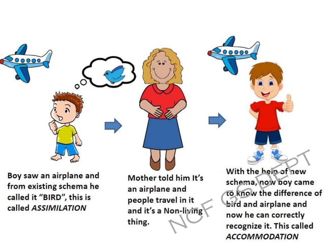 Piagets Theory. Piagets Theory. Piagets Theory | PPT