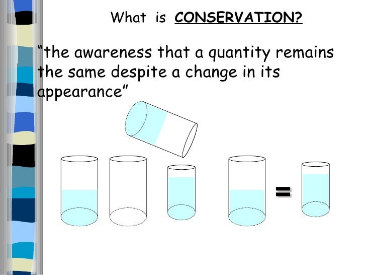 Piagets Cognitive Development