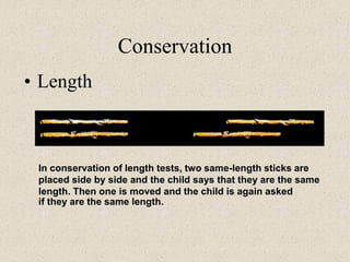 PIAGET'S COGNITIVE DEVELOPMENT THEORY | PPT