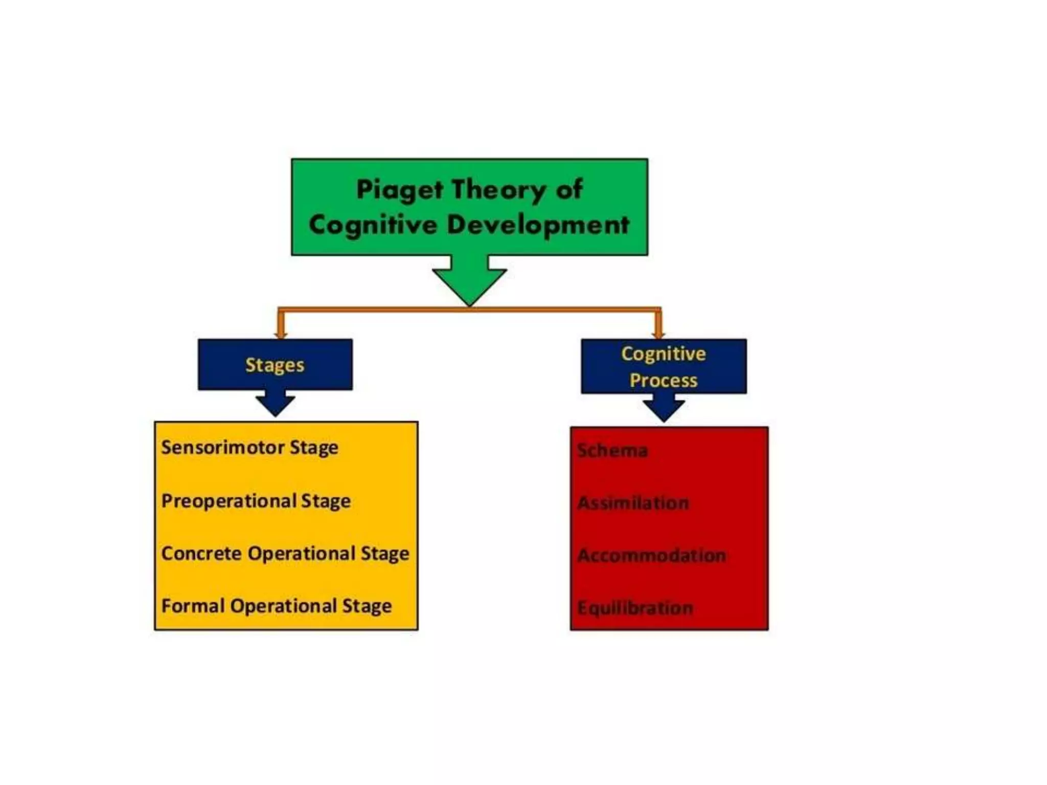 Piaget Theory- Cognitive Development | PPTX