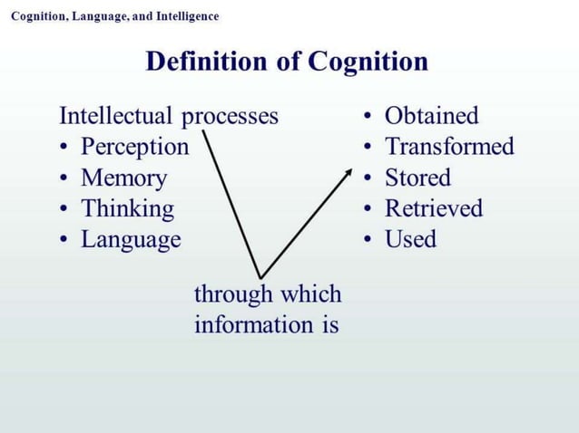 Piaget Theory- Cognitive Development | PPTX | Parenting Babies and ...