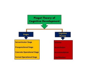 Piaget Theory- Cognitive Development | PPTX