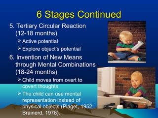 Piaget's stages of cognitive development | PPT
