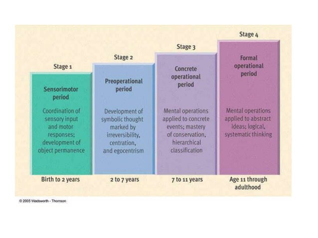 Piaget stages | PPTX | Parenting Babies and Toddlers | Parenting