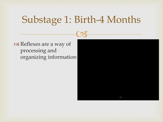 Piaget substage powerpoint | PPTX | Parenting Babies and Toddlers ...