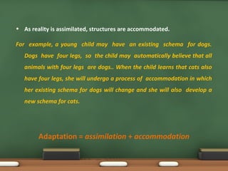 Piaget cognitive development theory | PPT