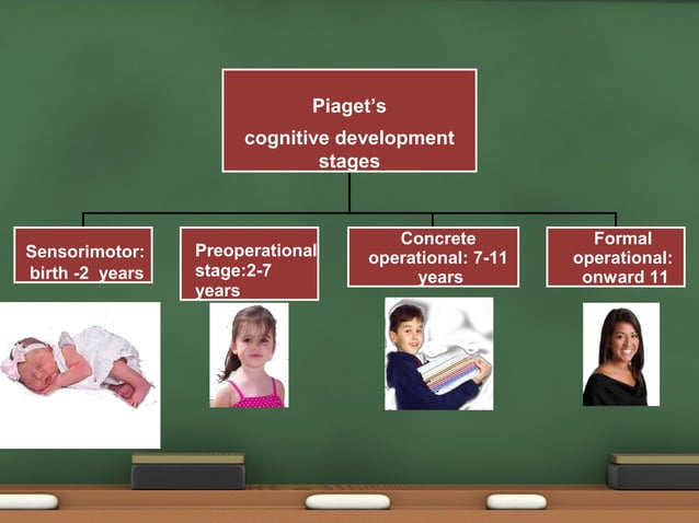 Piaget cognitive development theory | PPT | Science