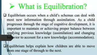 Piaget theory project | PPTX