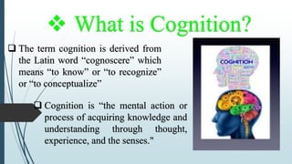Piaget theory project | PPTX