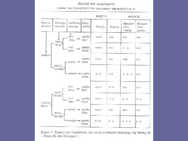 Piaget.Vygotsky | PPT