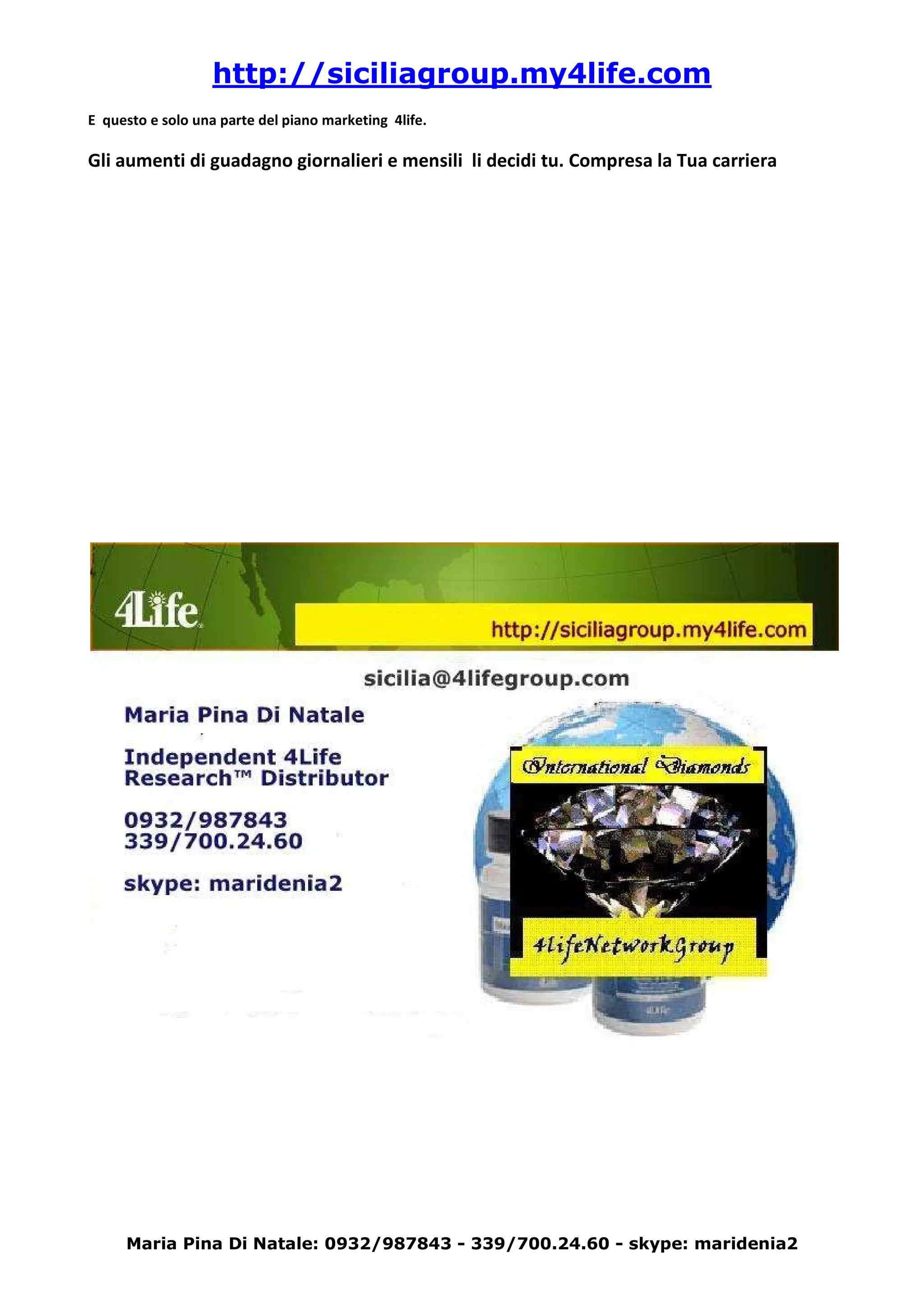 Piano Marketing 4life | PDF