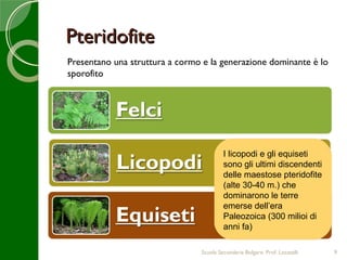 Piante | PPT