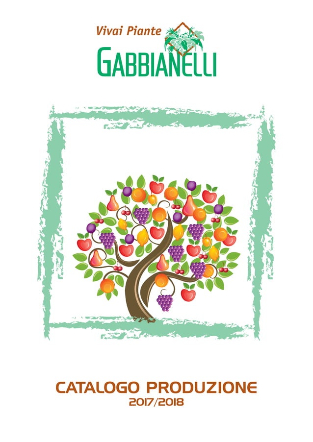 Catalogo Piante da Frutto - Vivai Piante Gabbianelli | PDF