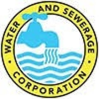 Why We Sleep: Unlocking the Power of Sleep and Dreams | PDF