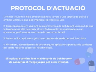 Picades i mossegades | PDF