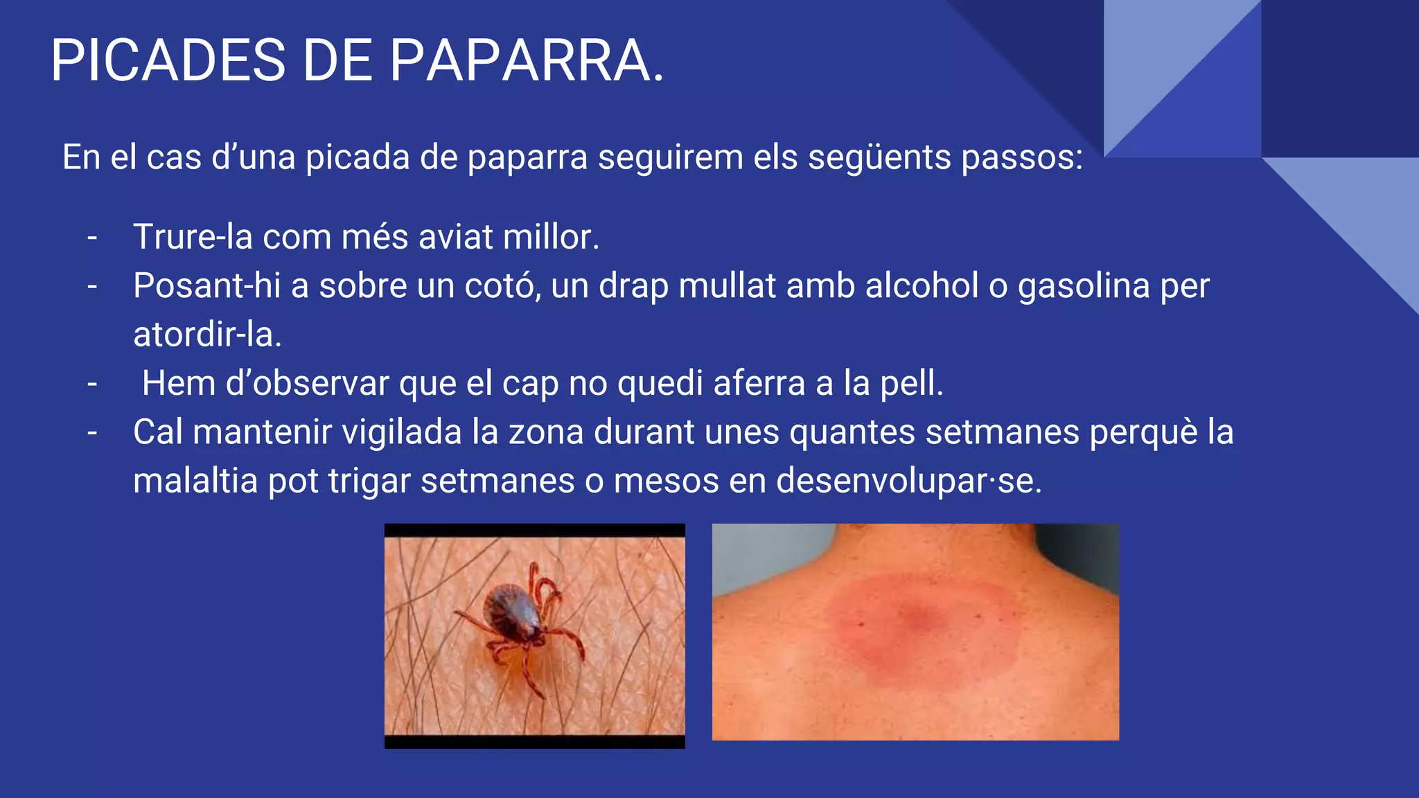 Picades i mossegades | PDF