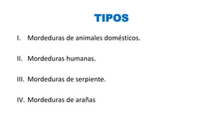 PICADURAS_Y_MORDEDURAS.pptx
