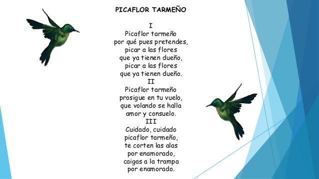 Picaflor tarmeño