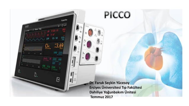 Picco | PDF