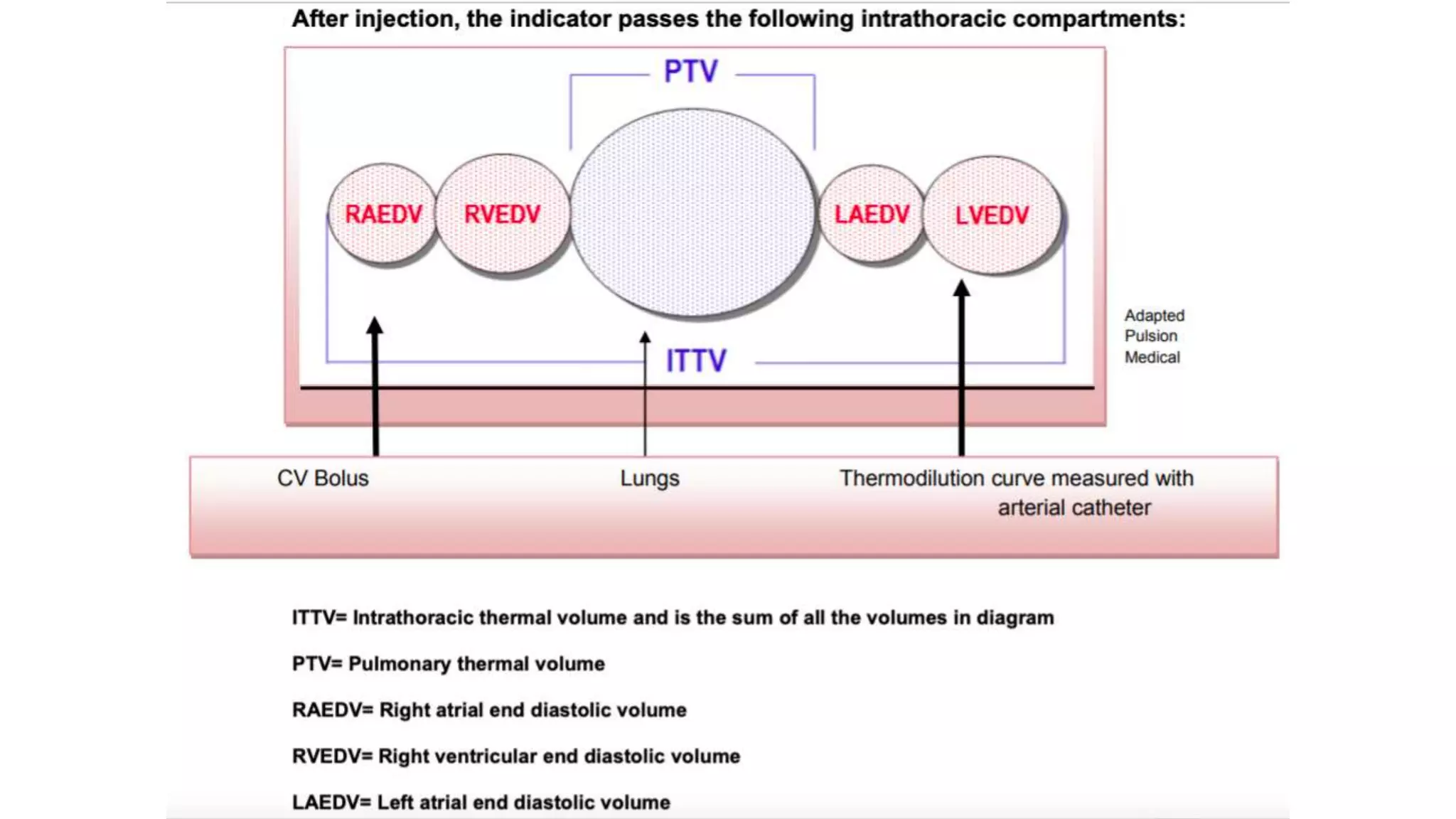 PiCCO Monitor | PPTX
