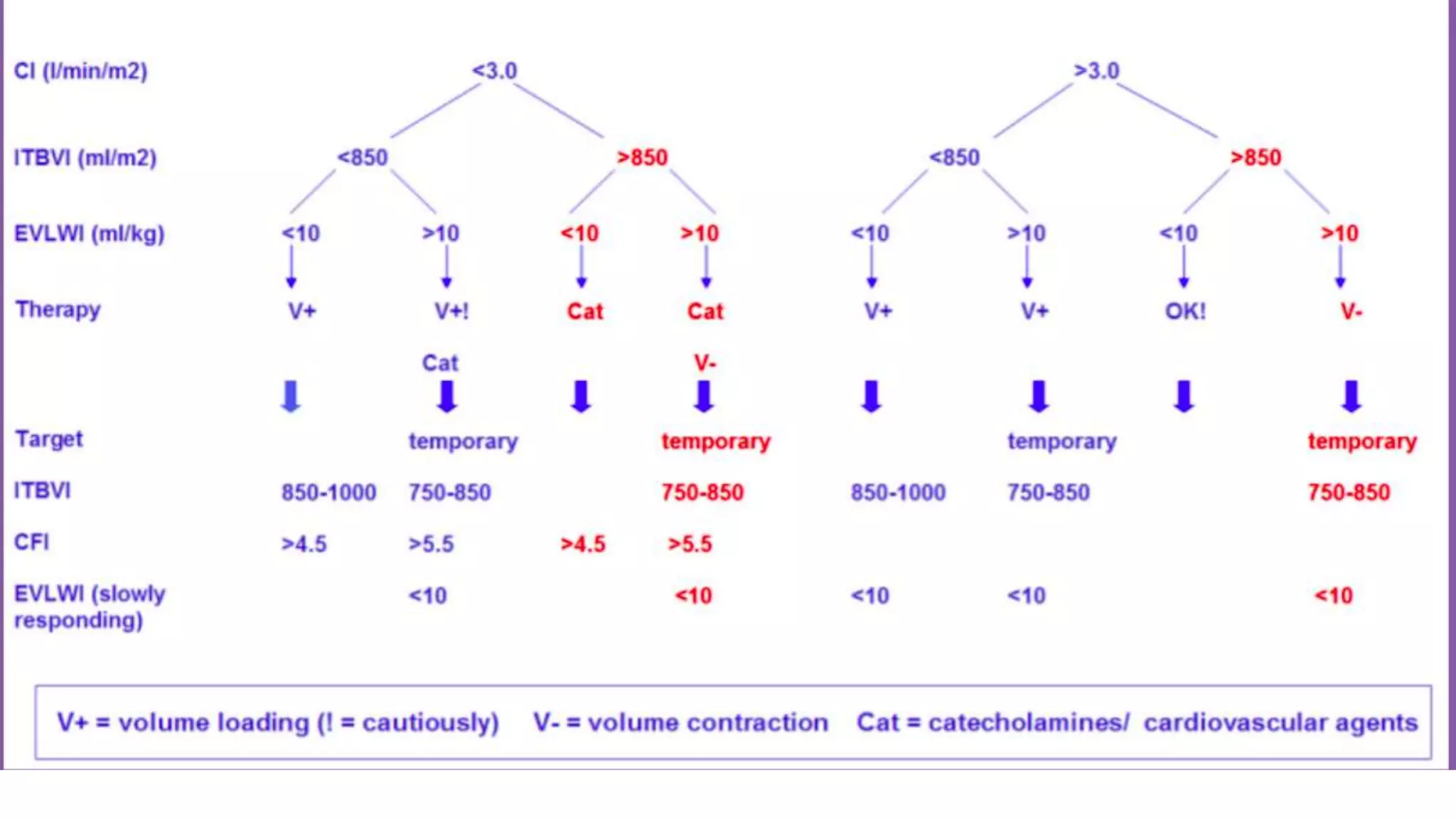 PiCCO Monitor | PPTX