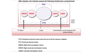 PiCCO Monitor | PPTX