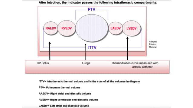 PiCCO Monitor | PPTX