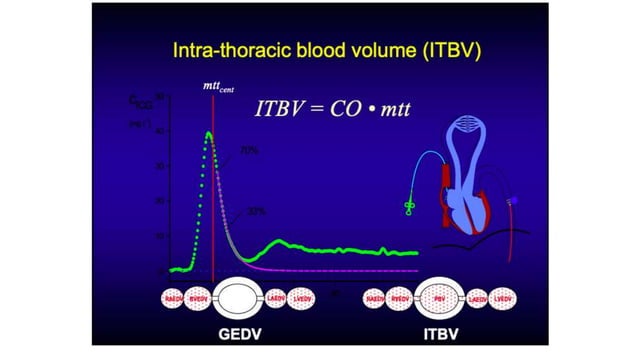 PiCCO Monitor | PPTX