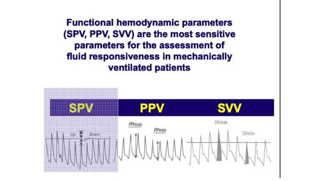 PiCCO Monitor | PPTX