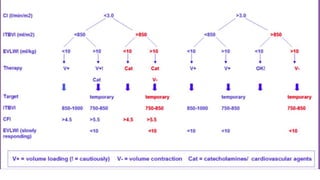 PiCCO Monitor | PPTX