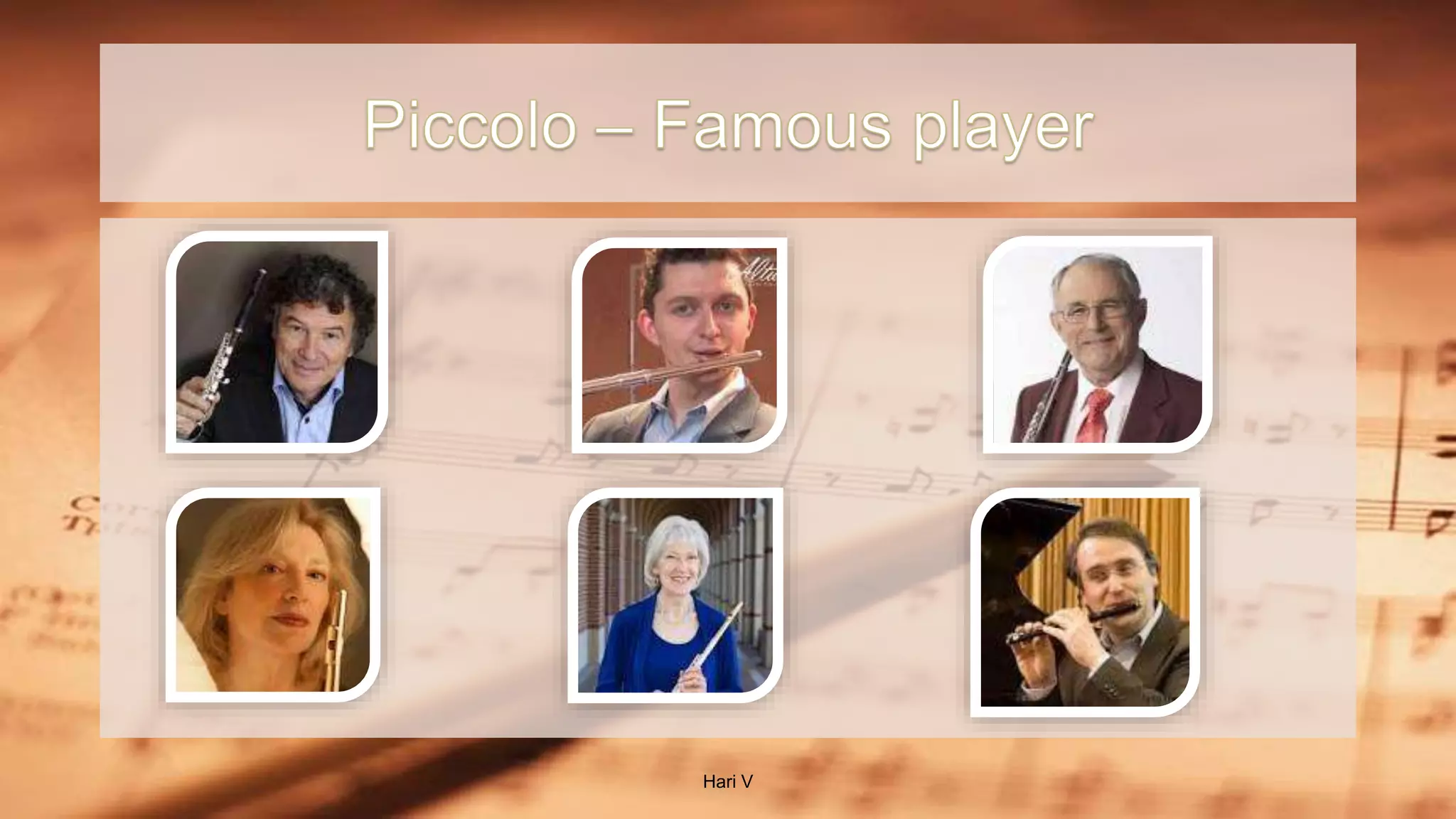 Musical Instruments & their musicians | PPTX