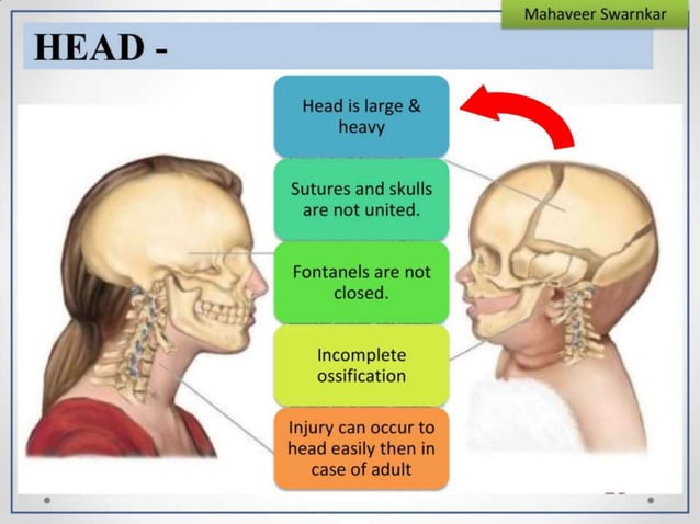DIFFERENCES BETWEEN AN ADULT AND CHILD | PPTX
