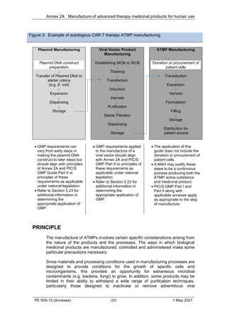 Pic gmp 2021.pdf annexes | PDF