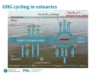 Pickard, Amy: Greenhouse gas concentrations and fluxes from seven UK ...
