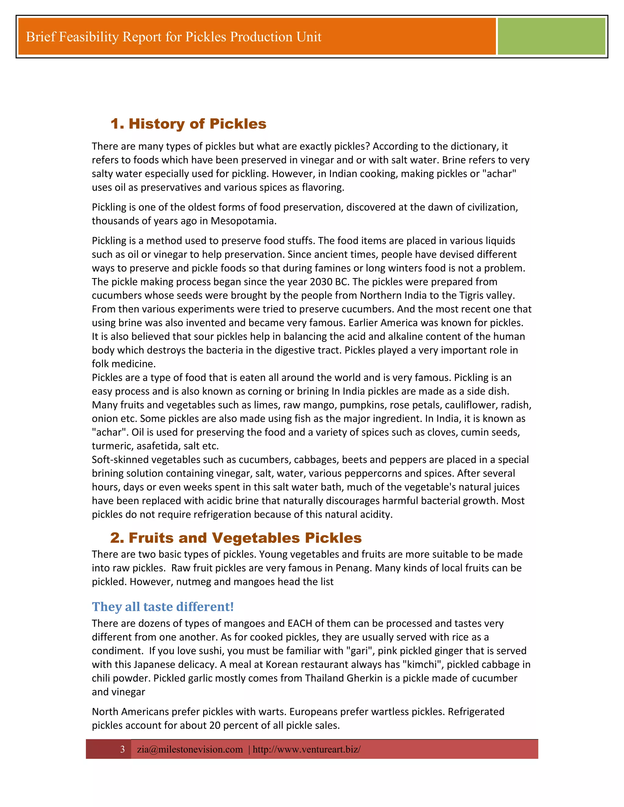 Pickles Brief Feasibility Report | PDF