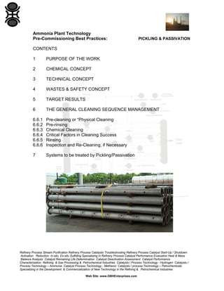 Pickling & Passivation | PDF