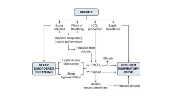 Pickwickian Syndrome And Obesity Clinical Manifestation Ppt