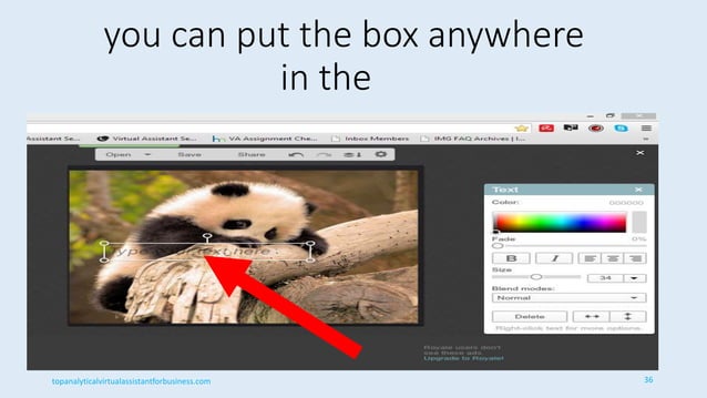 Edit Your Pictures like a True Champ with Picmonkey | PPT