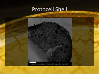 PICNIC Organic Design, Living Architecture | PPT