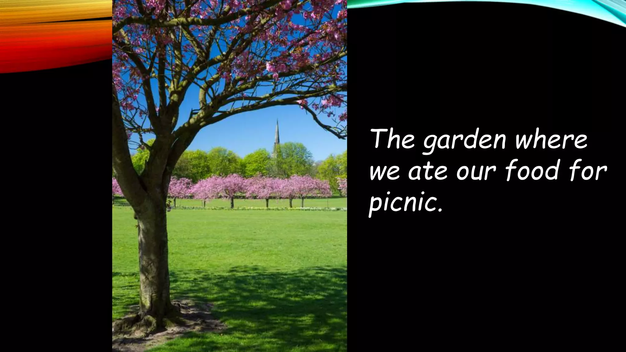 Picnic | PPT